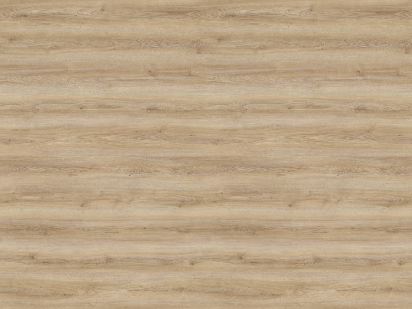 Spanplatten / MDF beschichtet K2241 Eiche Cordoba crema, AN authentic ...